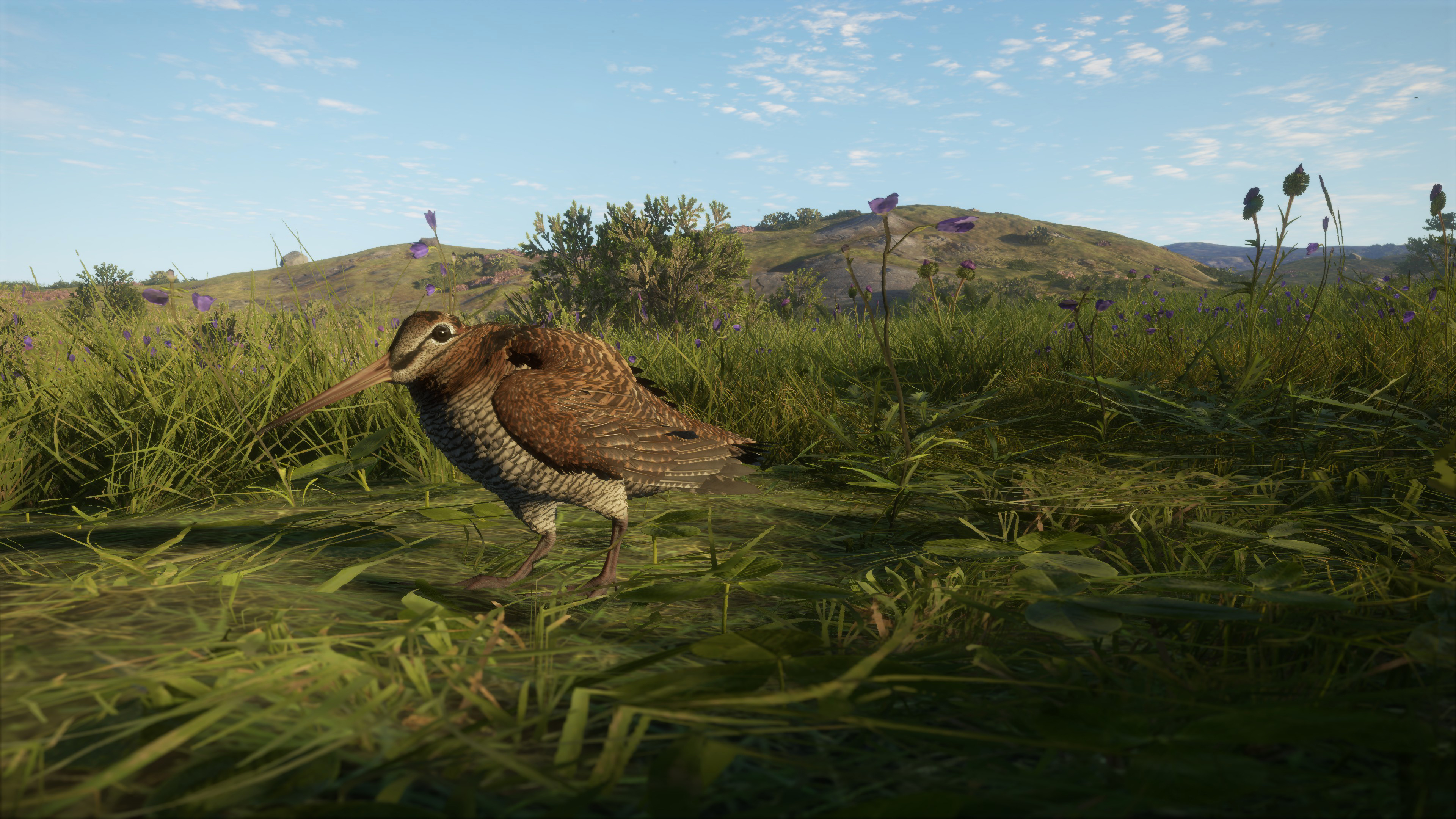 theHunter: Call of the Wild™ - Scotland Hunting Reserve PS4 — buy ...